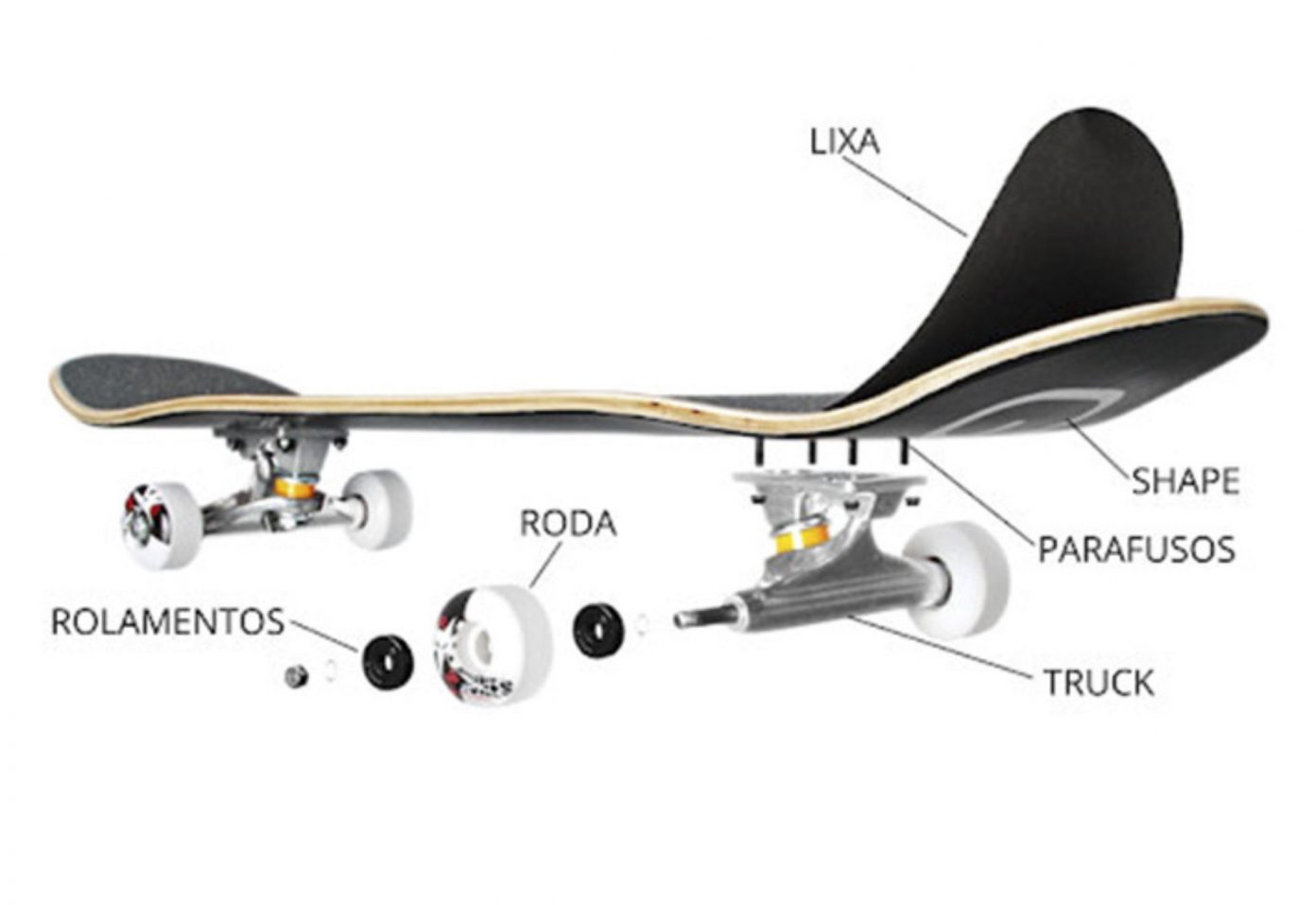 Tudo Sobre Skate: Guia Completo, Mais De 20 Dicas.
